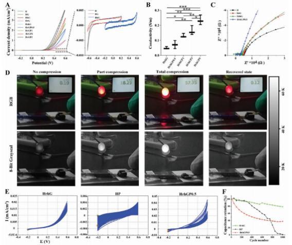 南方医科大学王乐禹教授和邱小忠教授在Advanced Functional Materials上发表重要文章：一种通过功能性血管吻合和电整合 ...