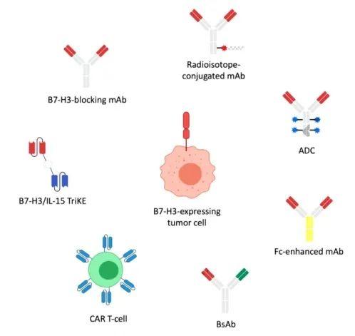 新靶点新药物，会是下一个“实体瘤克星”么？ - 知乎