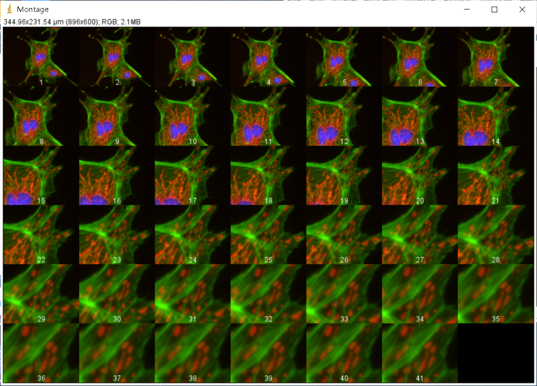 如何用ImageJ做出这种酷炫动画 - 知乎