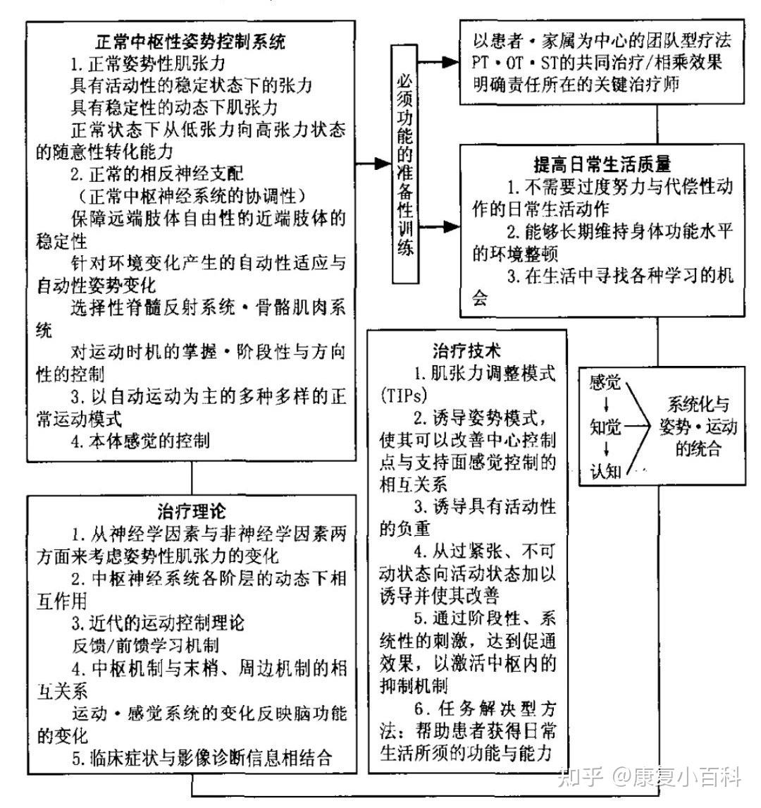 新bobath与旧bobath的区别在哪些地方？ - 知乎