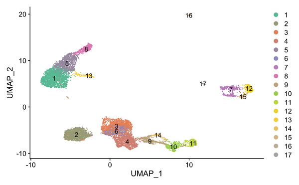 🤫 Seurat | 强烈建议收藏的单细胞分析标准流程（SCTransform normalization）（四） - 知乎