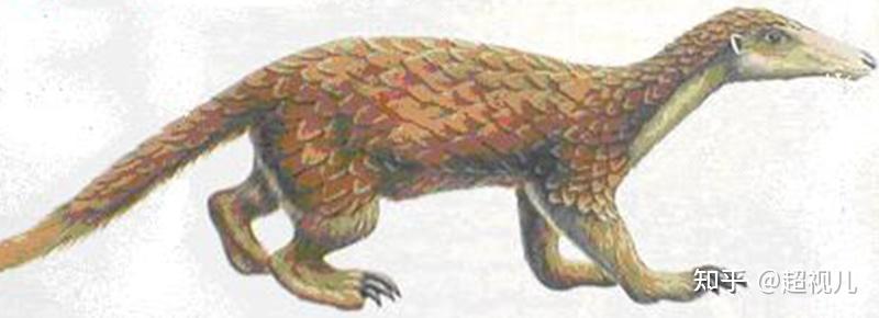 古近纪——哺乳动物的崛起 - 知乎