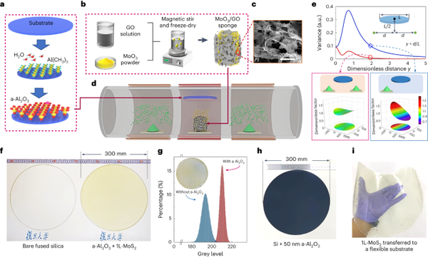 MoS2，最新Nature Materials！ - 知乎