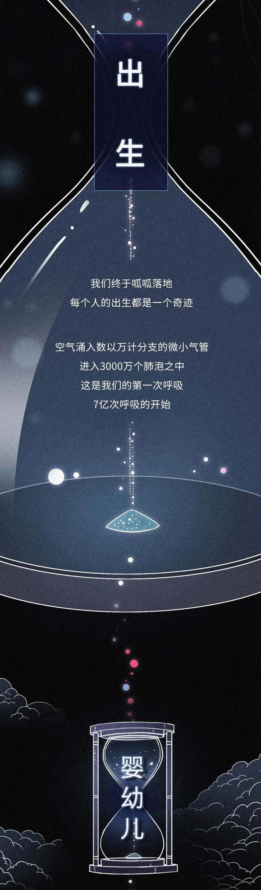 卵子受精后的29000天，人类的肉体都经历了什么？ - 知乎