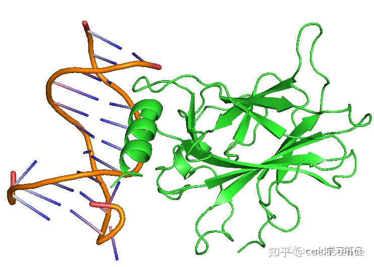 Amber/Gromacs搭建Protien/DNA体系 - 知乎