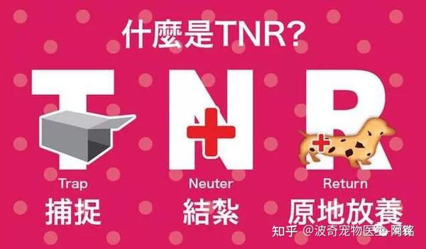 扩散！如果你看到耳朵缺一块的流浪猫，请善待！ - 知乎