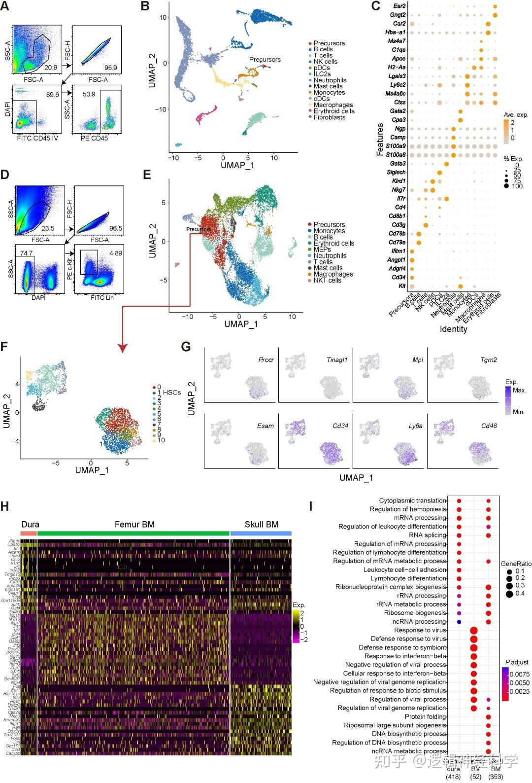 Cell Reports | 军事医学研究院张纪岩团队揭示成年小鼠脑膜中造血干细胞的存在及特征 - 知乎