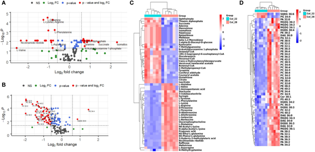 一作解读丨Front Plant Sci拟南芥种子萌发和幼苗生长过程中的代谢变化 - 知乎