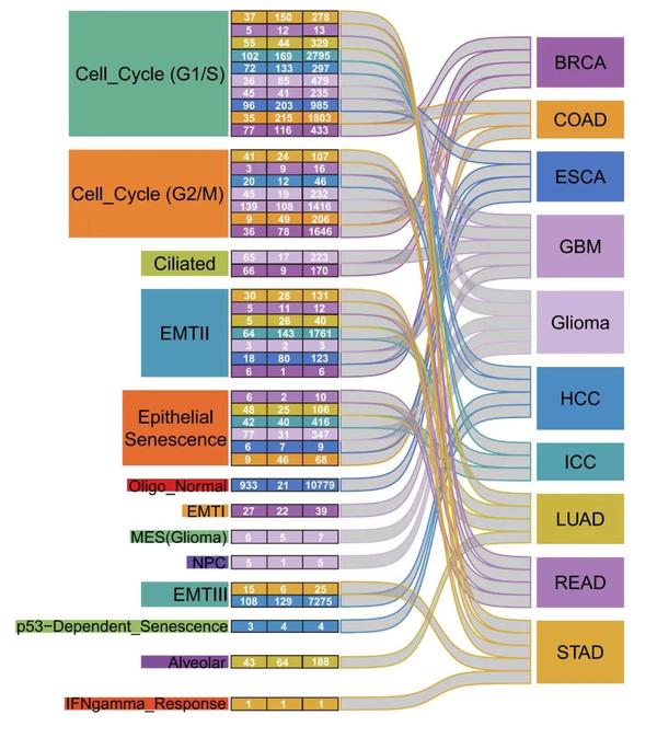 单细胞lncRNA如何分析？VITA助你一臂之力！ - 知乎