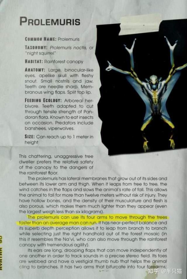 解密《阿凡达》生物档案：它们的设计合理吗？ - 知乎