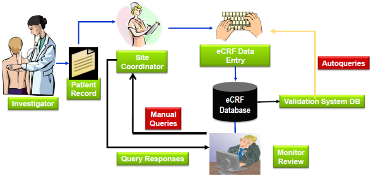 临床数据管理（CDM Overview） - 知乎