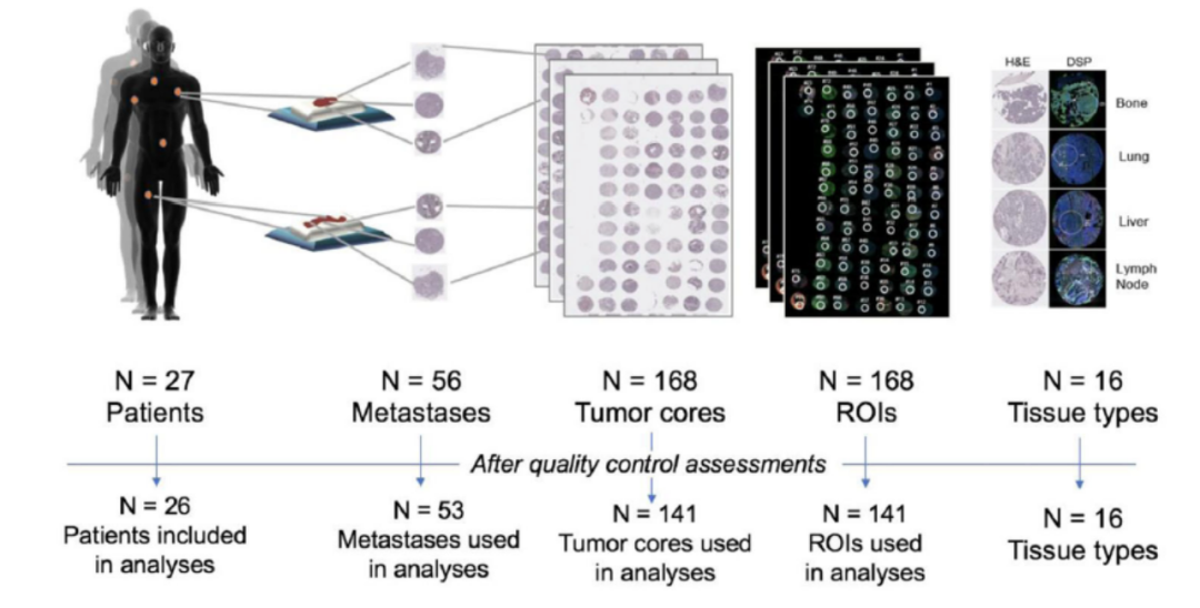文献解析 | DSP怎么用？详解GeoMx DSP 空间多组学在癌症研究中的应用 - 知乎