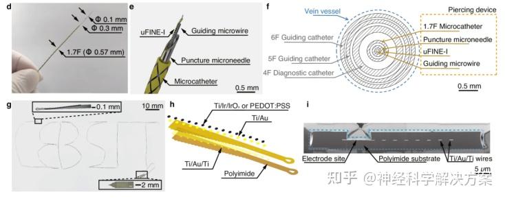 Intan Technologies RHD电镀板超柔性神经电极阵列的血管内递送用于记录皮层尖峰活动 - 知乎