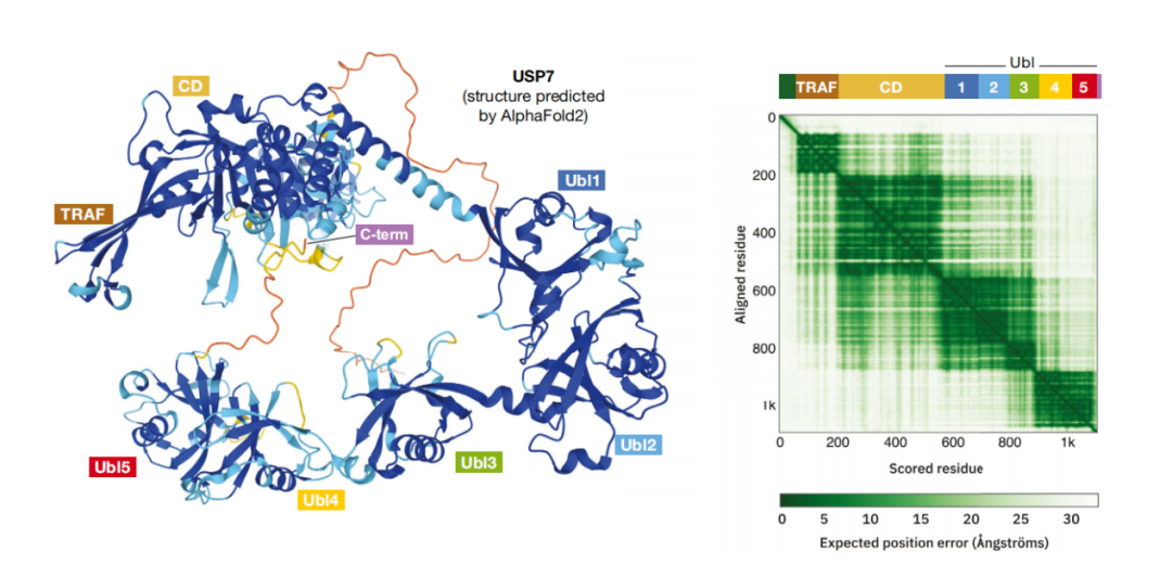 EMBO Reports | 生物学中的人工智能革命:AlphaFold的优势和劣势 - 知乎