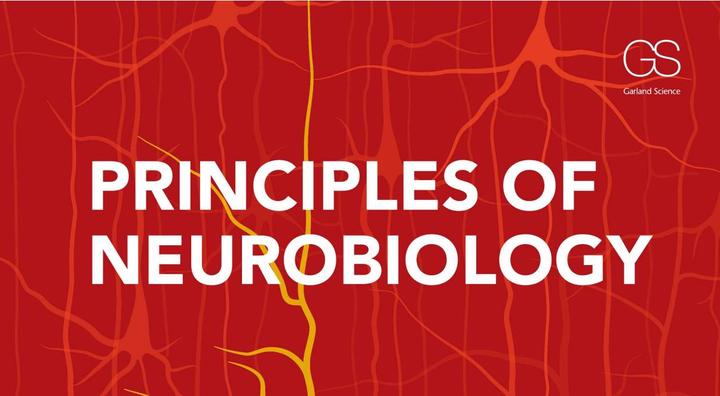 Principles of Neurobiology (神经生物学原理) 读书笔记（序） - 知乎