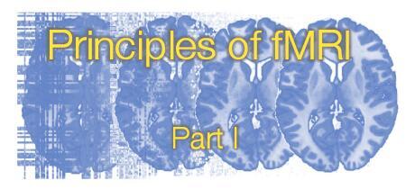 【fMRI】Module17 Details Of Building GLM Models - 知乎