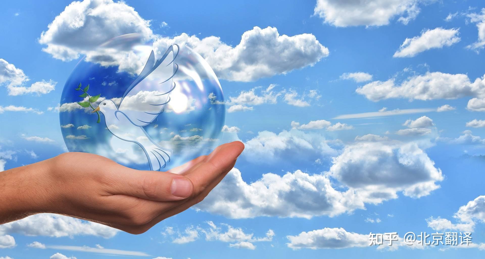 国际和平日：May world peace and people happiness! - 知乎