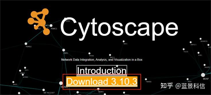 Cytoscape-基础使用手册 - 知乎