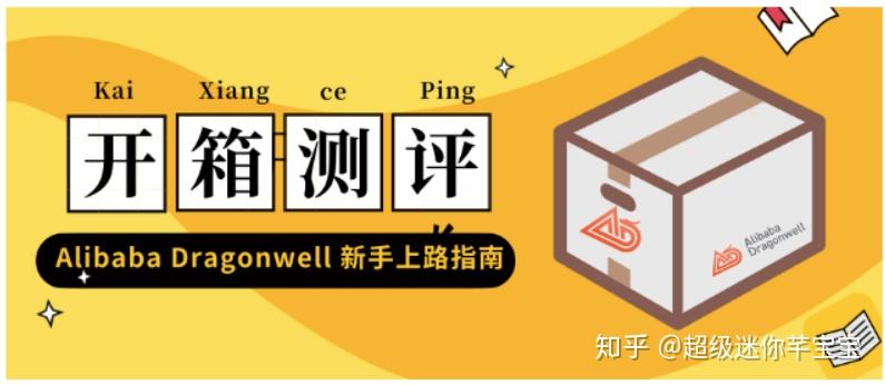 “龙井”开箱评测 |Alibaba Dragonwell 新手上路指南 - 知乎