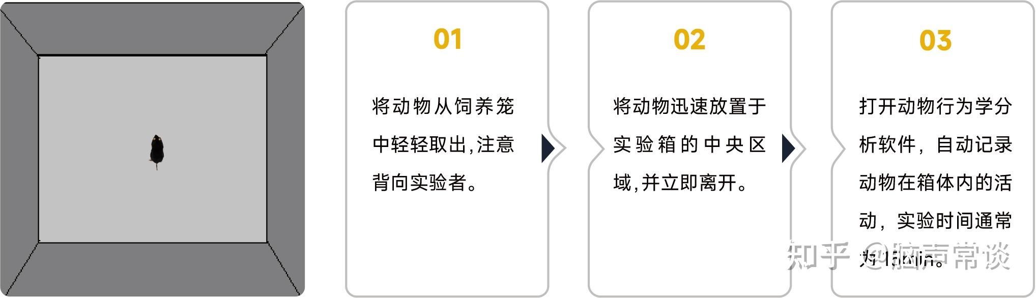 脑声常谈：旷场实验原来这么简单？听我给你介绍 知乎
