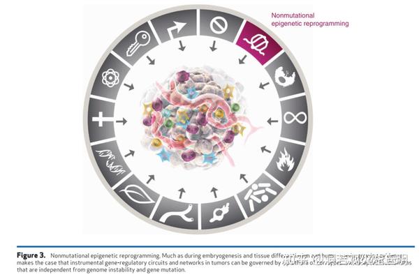 Cancer Discovery发表顶级综述：Hallmarks of Cancer：New Dimensions - 知乎