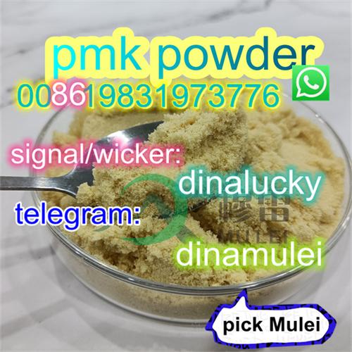 Good Quality New Pmk Ethyl Glycidate Pmk Oil CAS 28578-16-7 New BMK ...