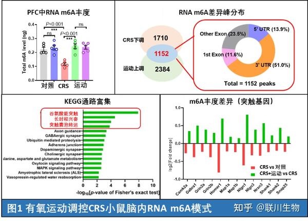 近年的m6A基金有哪些？如何写m6A基金标书？ - 知乎