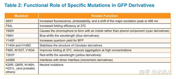 绿色荧光蛋白简介 - 知乎