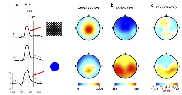 经典再读 | P3a与P3b的整合理论 - 知乎