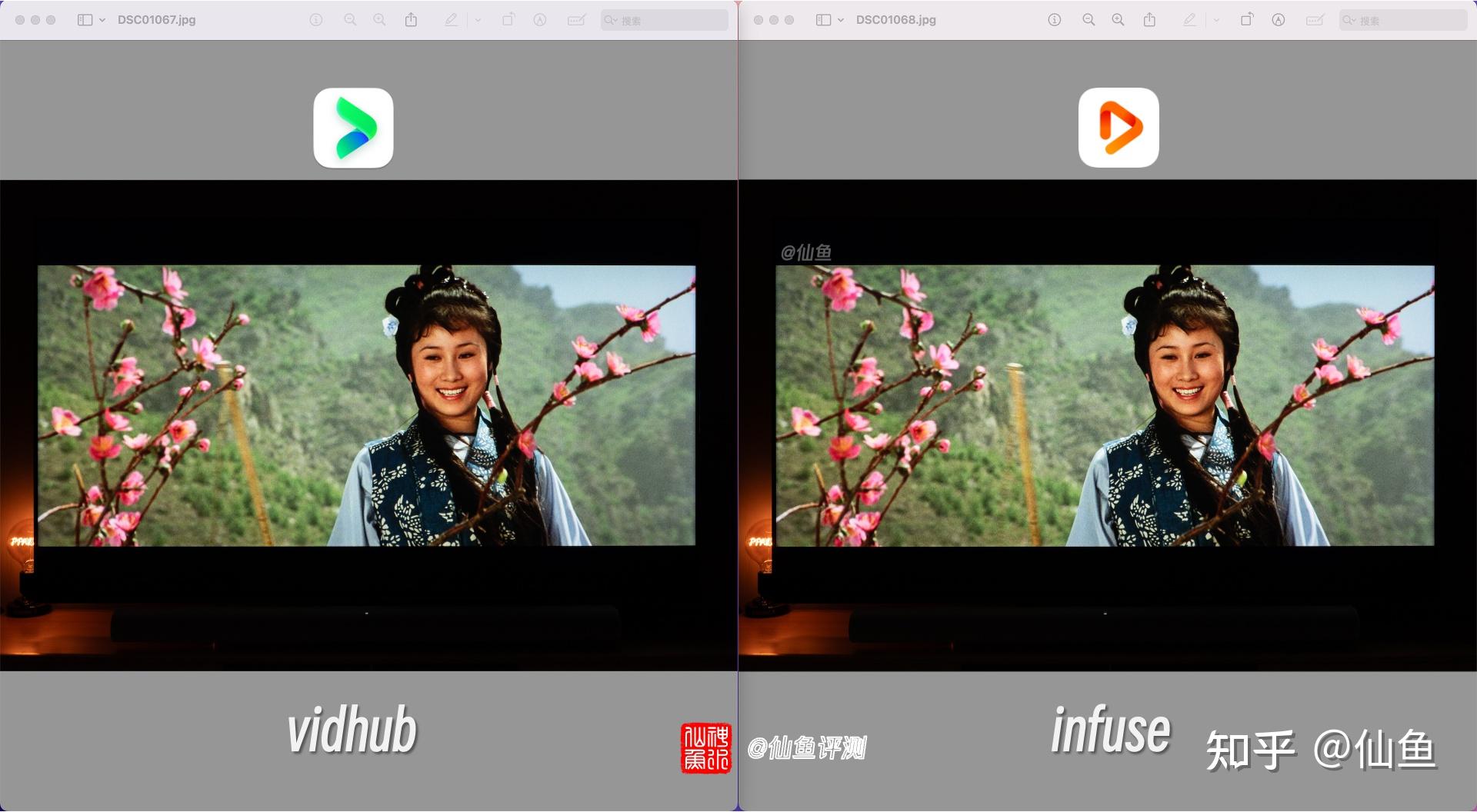 infuse替代者？vidhub的200天长测与深度对比报告（送激活码）