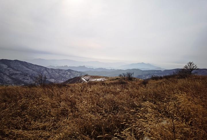 singledispatch 函数分派器 - 知乎