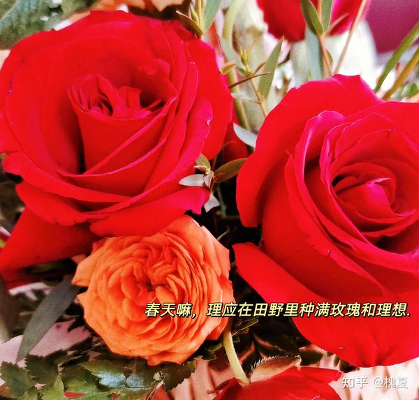 爱意东升西落，浪漫至死不渝。 知乎