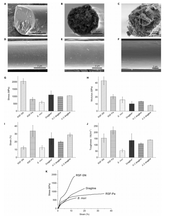首次！人工蚕丝强度，比天然蛛丝强！ - 知乎