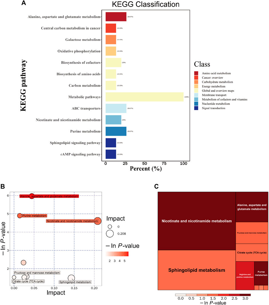 Front. Pharmacol | 成绍武/宋祯彦团队新发现！中药可调节微生物-肠-脑轴减轻阿尔茨海默病症状 - 知乎