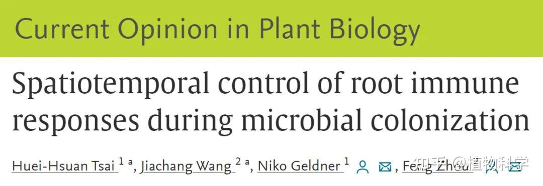 中国科学院分子植物科学卓越创新中心周峰研究组应邀发表Current Opinion in Plant Biology综述植物根系免疫响应的时空性 - 知乎