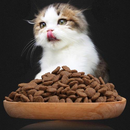 猫粮的分类，如何选择合适的猫粮？ 知乎