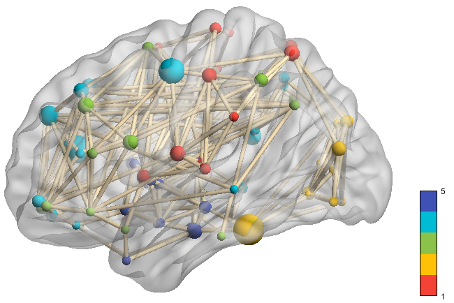 用rs-fmri数据画脑功能连接图 - 知乎