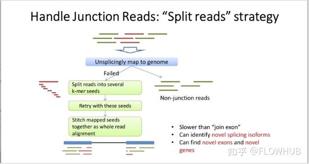 RNA测序数据回贴与组装 （RNA-Seq Mapping& Assembling） - 知乎