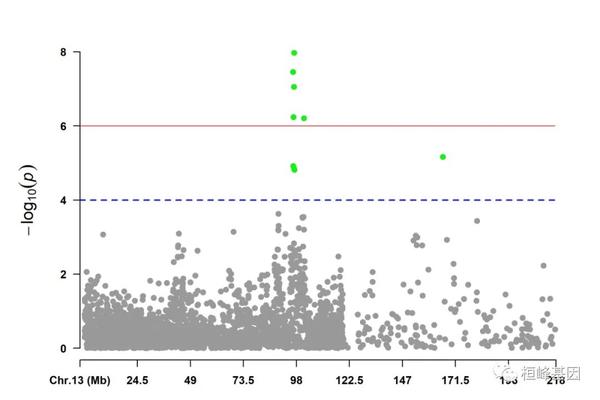 DNA 12. SCI 文章绘图之全基因组关联分析可视化(GWAS) - 知乎