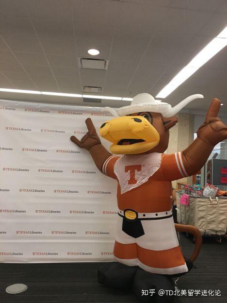 在德克萨斯州大学奥斯汀分校 (UT Austin) 就读是怎样一番体验？