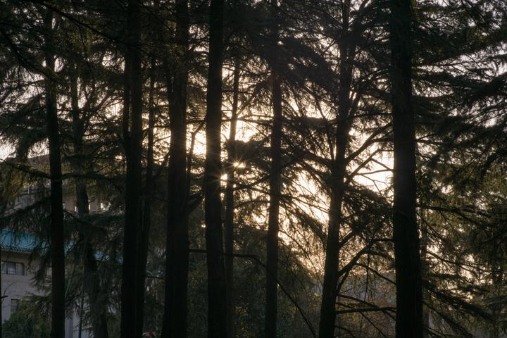 【论文笔记】《SAR Image segmentation based on convolutional-wavelet neural network and markov random ...