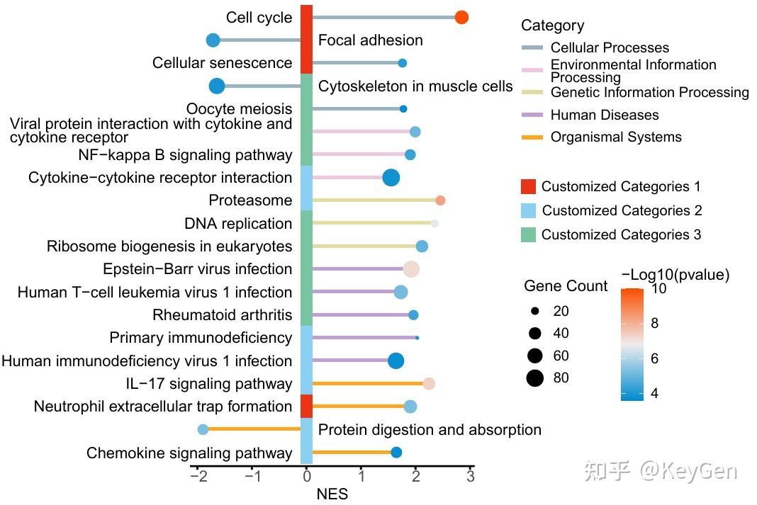 绘制GSEA分析棒棒图：一键生成高颜值科研图 - 知乎