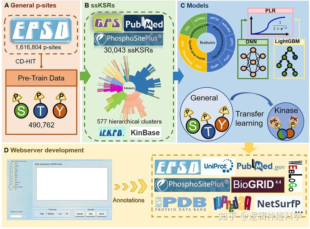 NAR︱华中科技大学薛宇团队开发激酶特异性磷酸化位点预测工具GPS 6.0 - 知乎