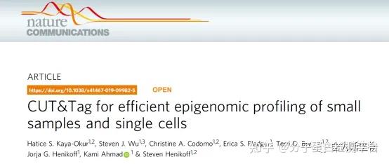 一文看懂CUT&Tag技术|解锁比ChIP-seq更精准高效的DNA和蛋白质互作研究 - 知乎