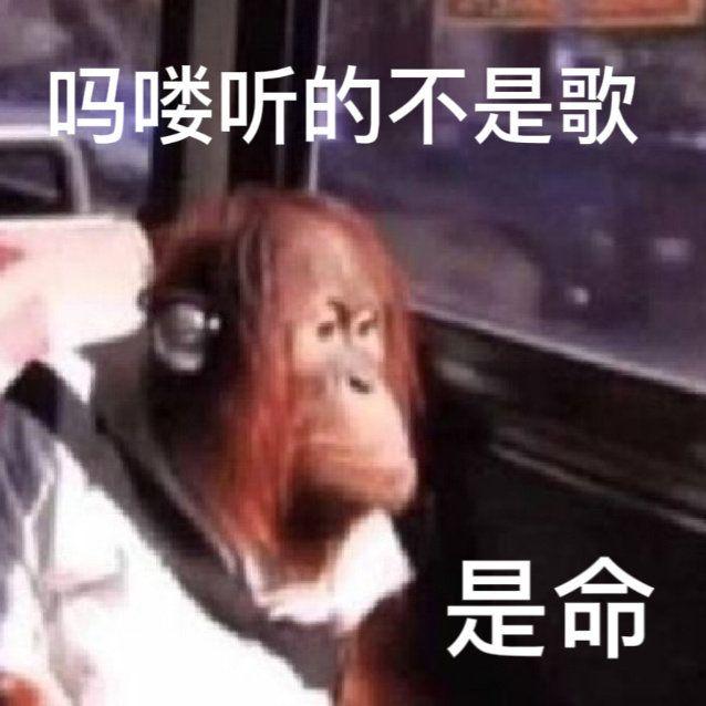 请问大家有没有猴子的表情包？ - 知乎