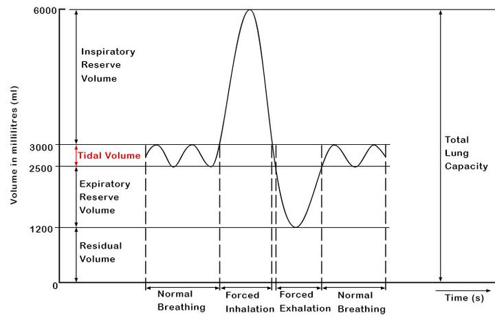 Introduction to Flow Rates of Human Breathing and Respirator Testing - 知乎