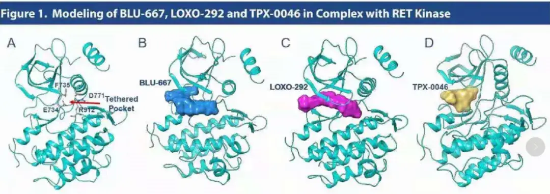 TPX-0046 TPX-0046 靶向药 - 癌症123