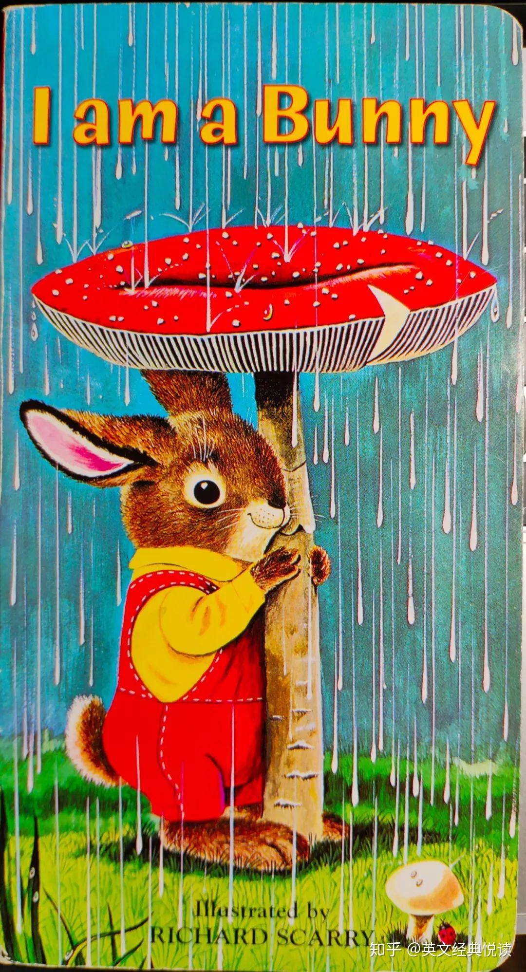 经典英文绘本 I am a Bunny - 知乎