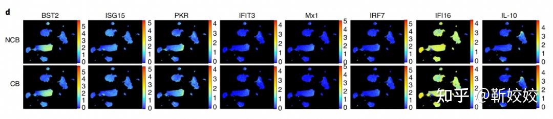 10x单细胞多组学技术揭开I型干扰素与PD1阻断疗法之间的爱恨情仇 - 知乎