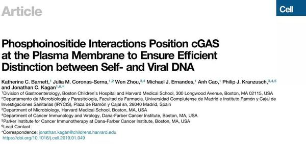 Cell亮点丨首次发现DNA感受器cGAS定位在细胞质膜上 - 知乎